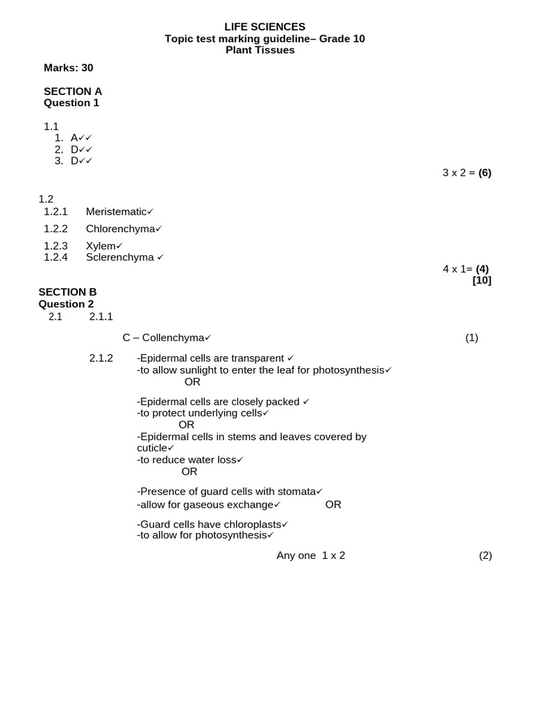 Grade 10 Plant Tissues Test Guide | PDF | Tissue (Biology) | Anatomy