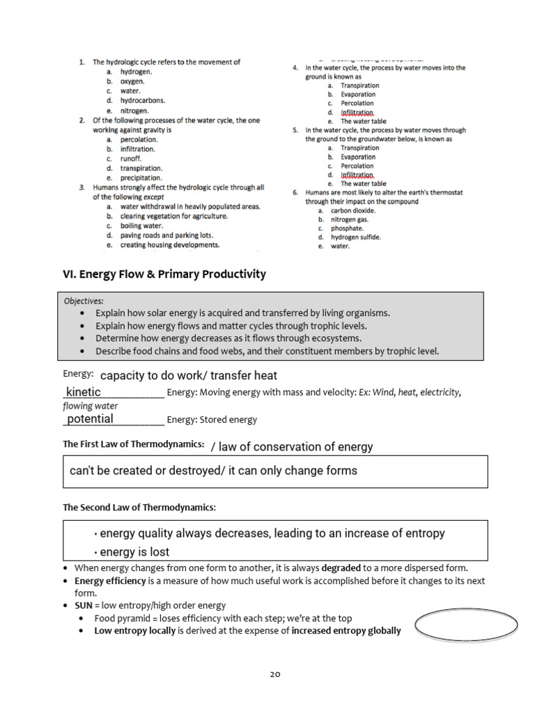 Energy Flow and Trophic Levels Explained | PDF | Food Web | Entropy