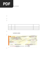 HDFC Bank Positive Pay System Guide | PDF | Cheque | Online Banking