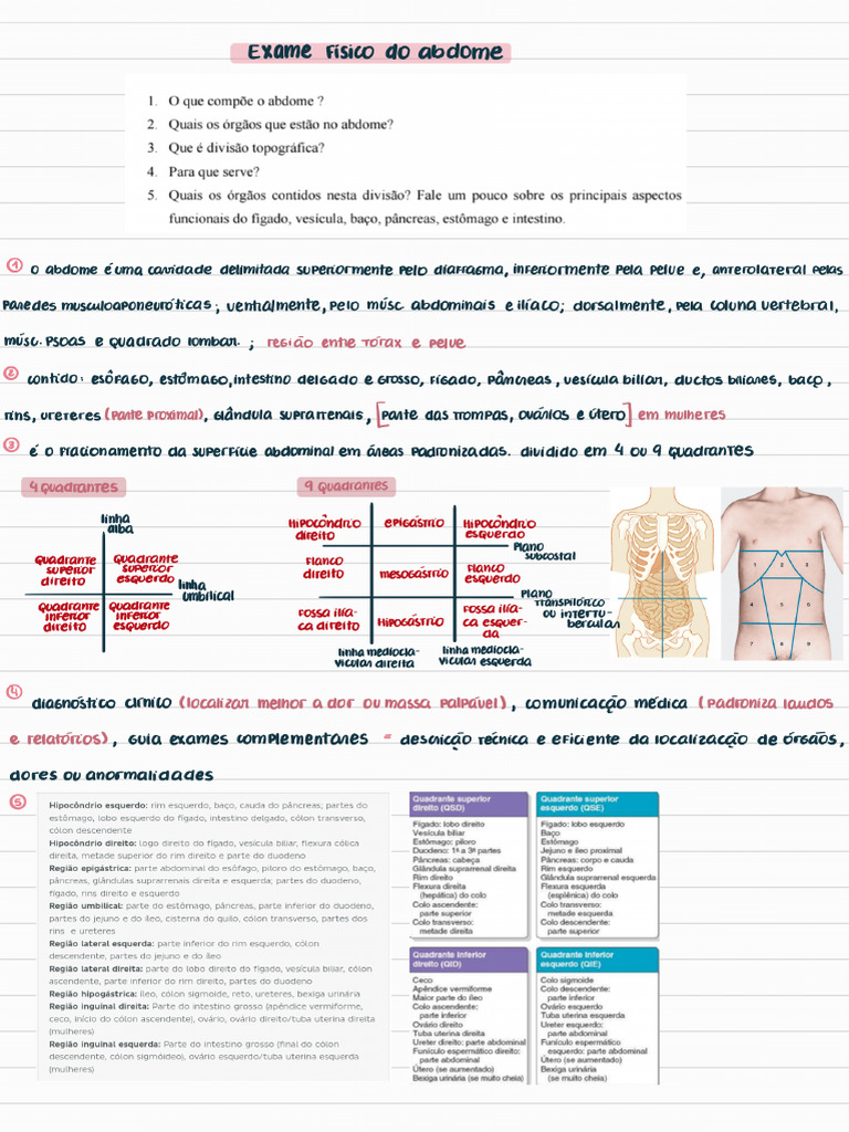 EXAME FÍSICO DO ABDOME _250801_162021 | PDF