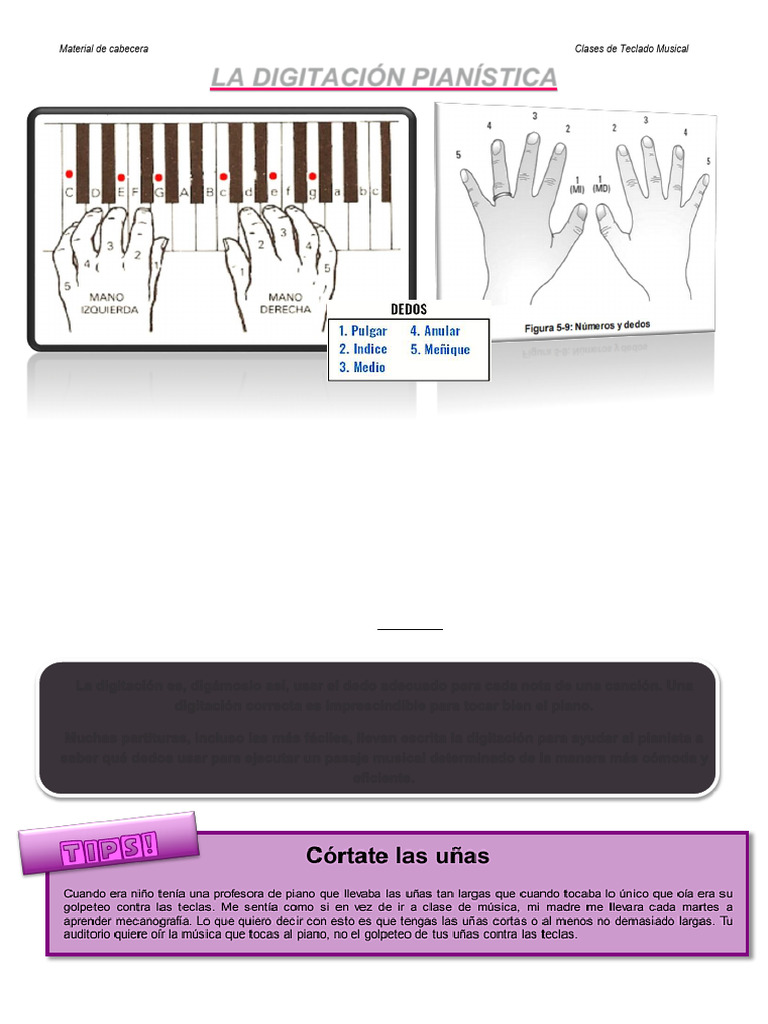 Digitación Correcta para Pianistas | PDF