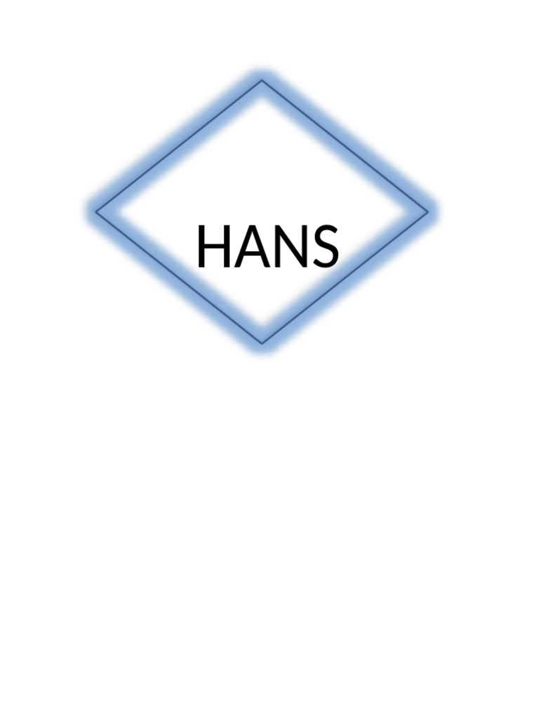 Hans | PDF