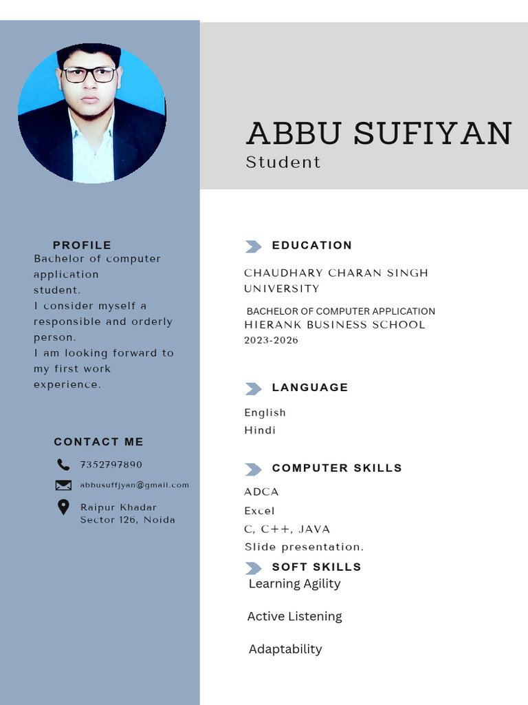 Bachelor of Computer Application Profile | PDF
