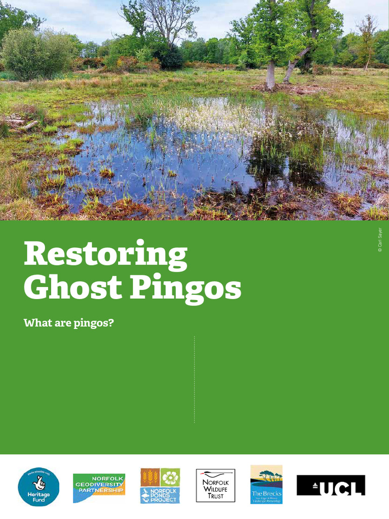 Restoring Biodiversity in Ghost Pingos | PDF | Pond | Wetland