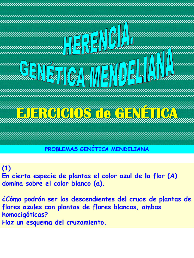 Ejercicios de Genética Mendeliana | PDF | Dominancia (Genética) | Cigosidad