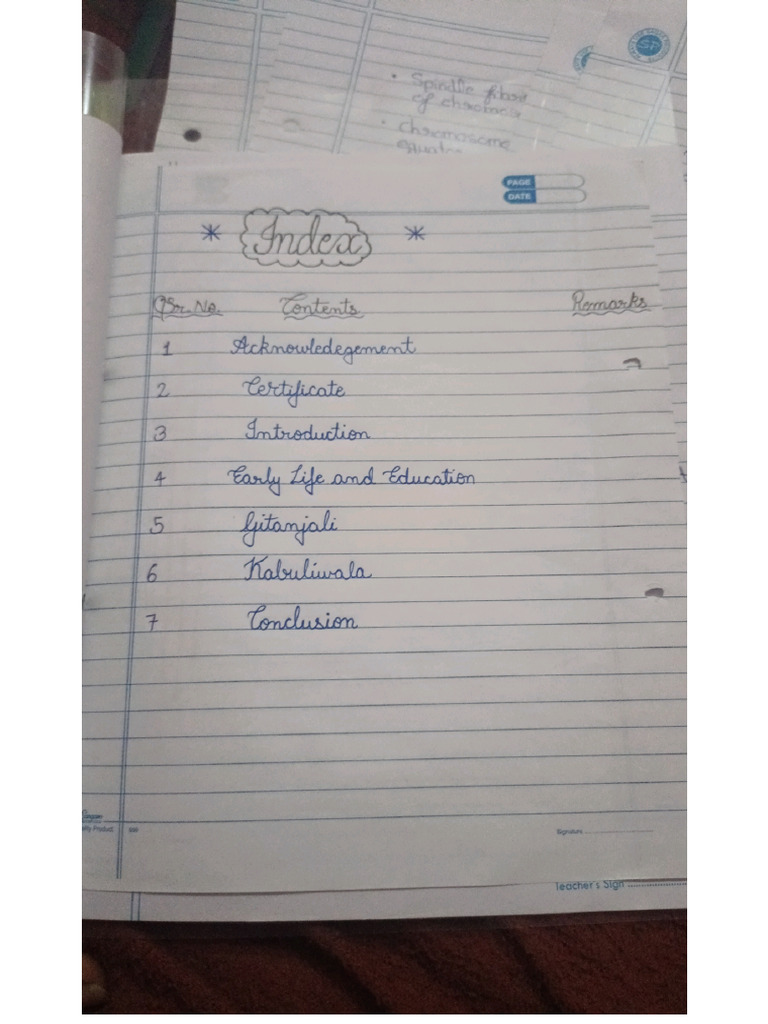 English Project File | PDF