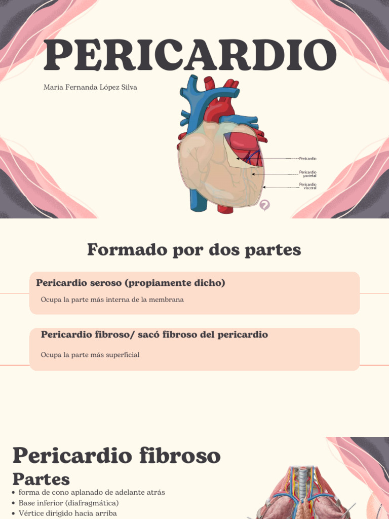 Pericardio PDF | PDF | Tórax (anatomía humana)