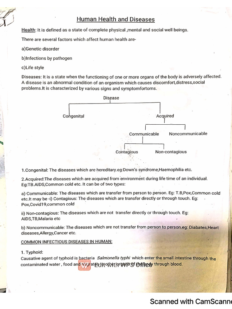Human Health and Diseases | PDF