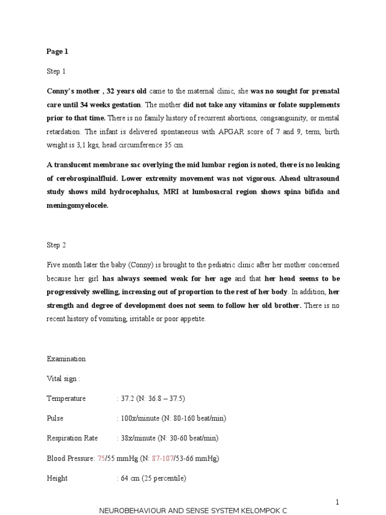 Laporan Nbss ... | PDF