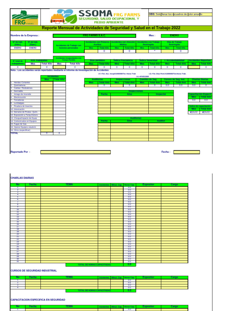 REPORTE MENSUAL CAPACITACIONES | PDF
