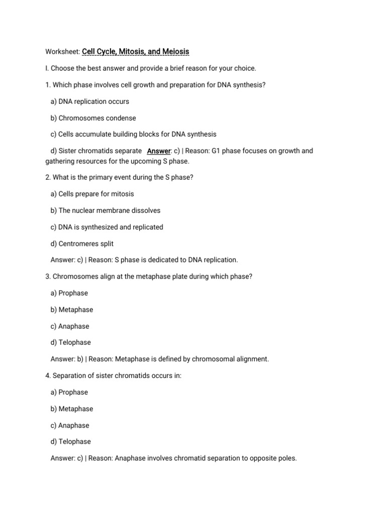 Cell Cycle: Mitosis & Meiosis Worksheet | PDF | Meiosis | Mitosis