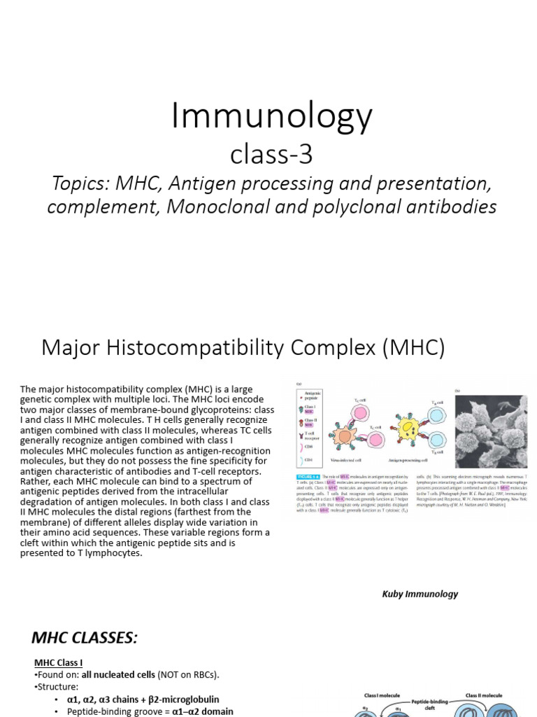 Immunology_Gate_Lecture[1] | PDF | Major Histocompatibility Complex ...