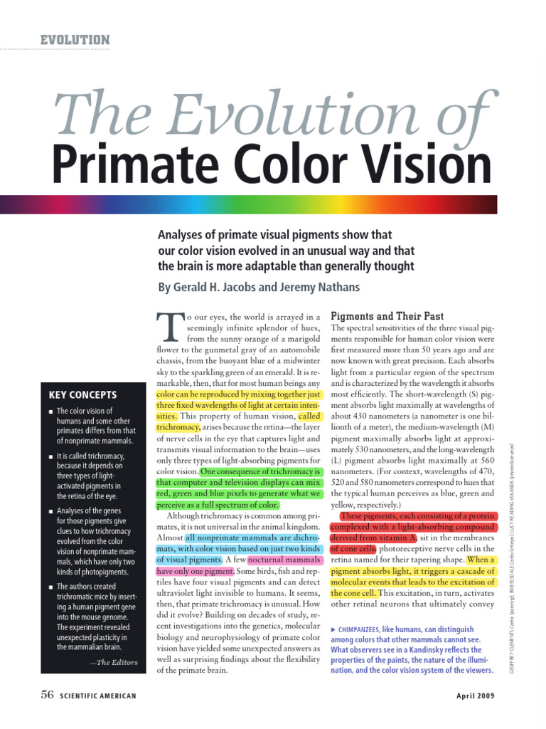 Evolution of Primate Color Vision | PDF | Color | Gene