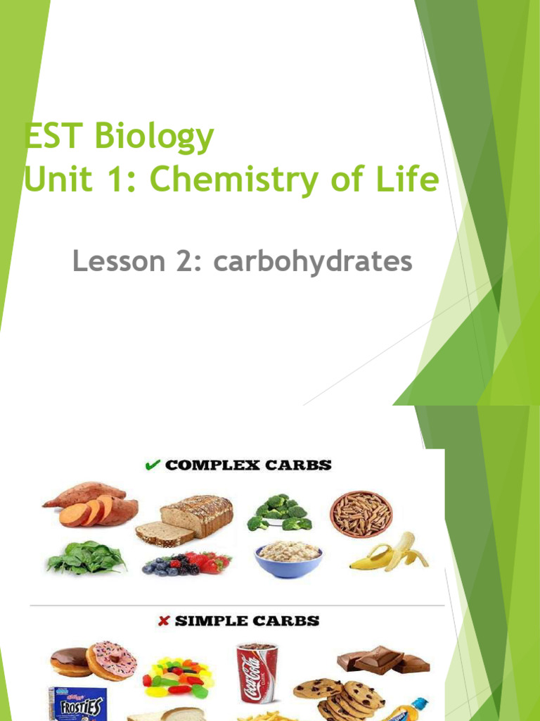 9 Grade Lesson 1& 2 Water and Carbohydrates (1) | PDF | Carbohydrates ...