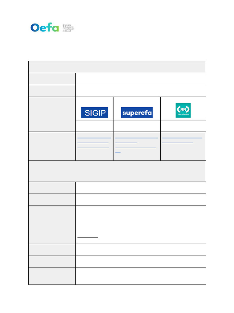 Formato Para Designar Responsable Sigip Super Efa y Reporta Residuos ...