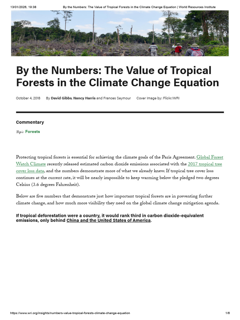 By the Numbers_ the Value of Tropical Forests in the Climate Change ...