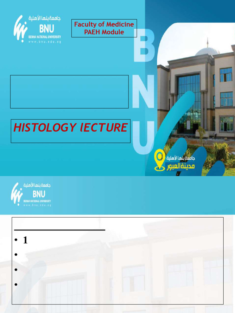 Histology Epithelium L9 | PDF | Epithelium | Anatomy