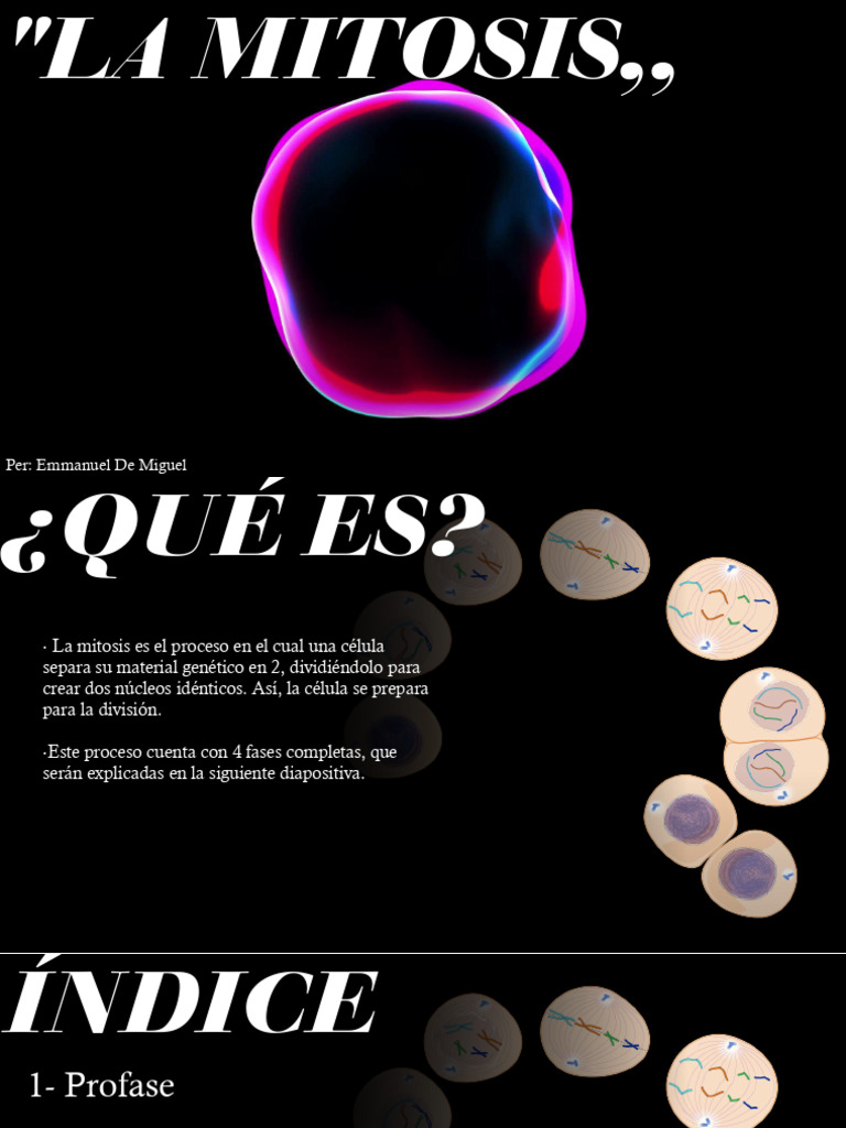 Presentation (1) | PDF