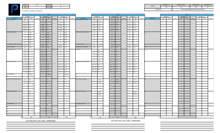 FEDE GONZALEZ - PLANNING 1 x 2 sesiones | PDF