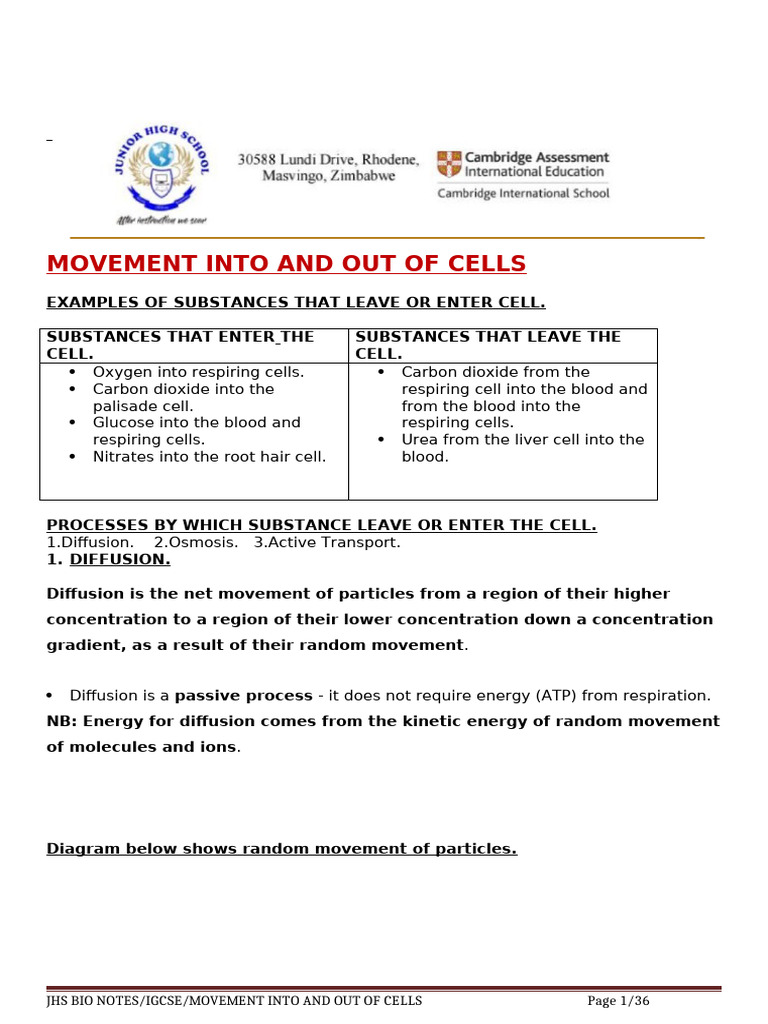Movement Into and Out of Cells | PDF | Osmosis | Diffusion