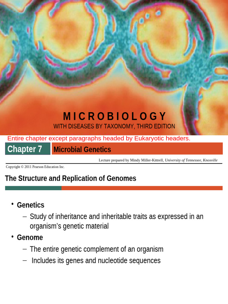 chapt 7 | PDF | Operon | Translation (Biology)
