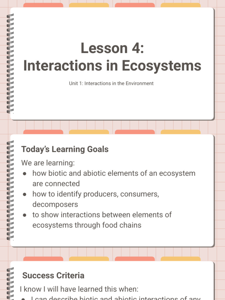Ecosystem Interactions: Food Chains Explained | PDF | Ecosystem | Foods