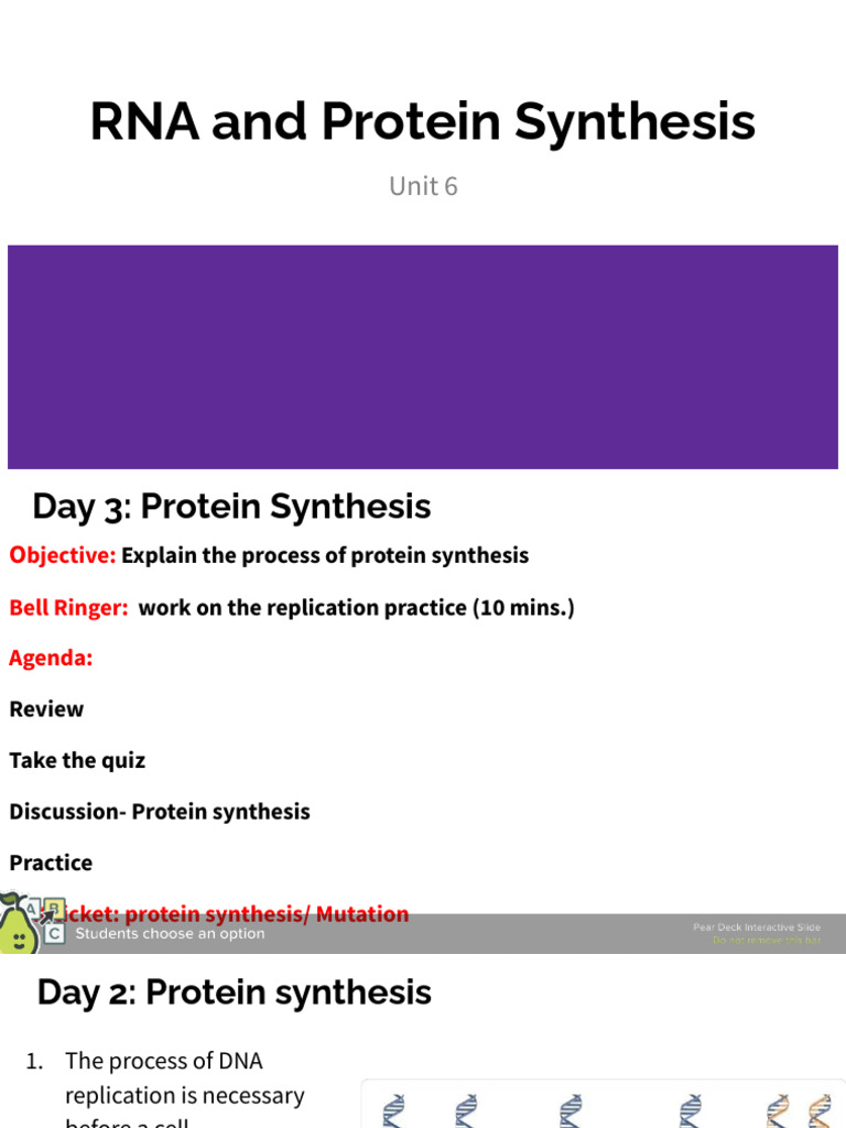 RNA and Protein Synthesis Notes (2024-25) | PDF | Rna | Translation ...