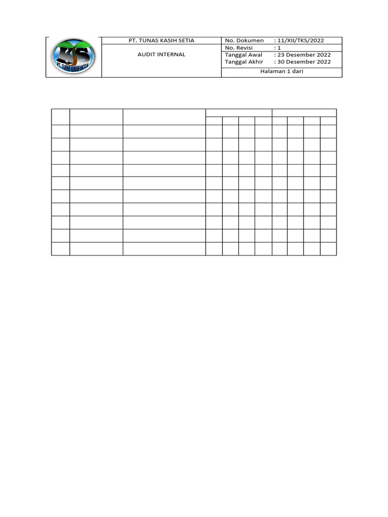 Internal Audit | PDF