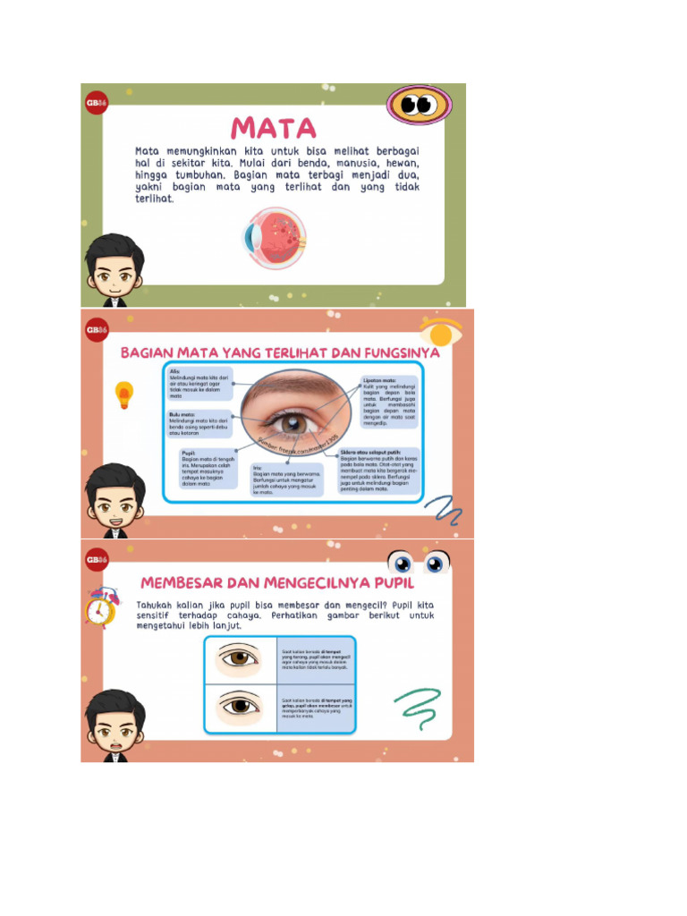 Bagian Bagian Mata | PDF