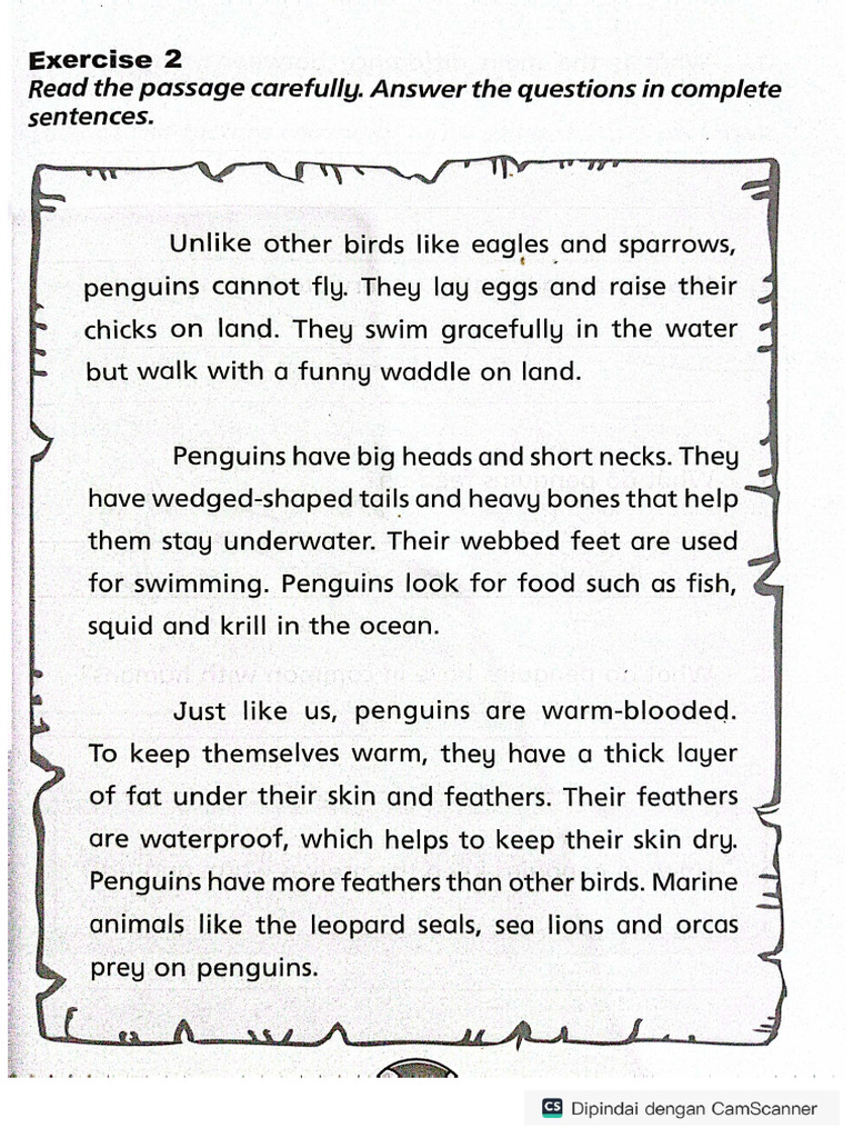 P4 Review. Reading Comprehension | PDF