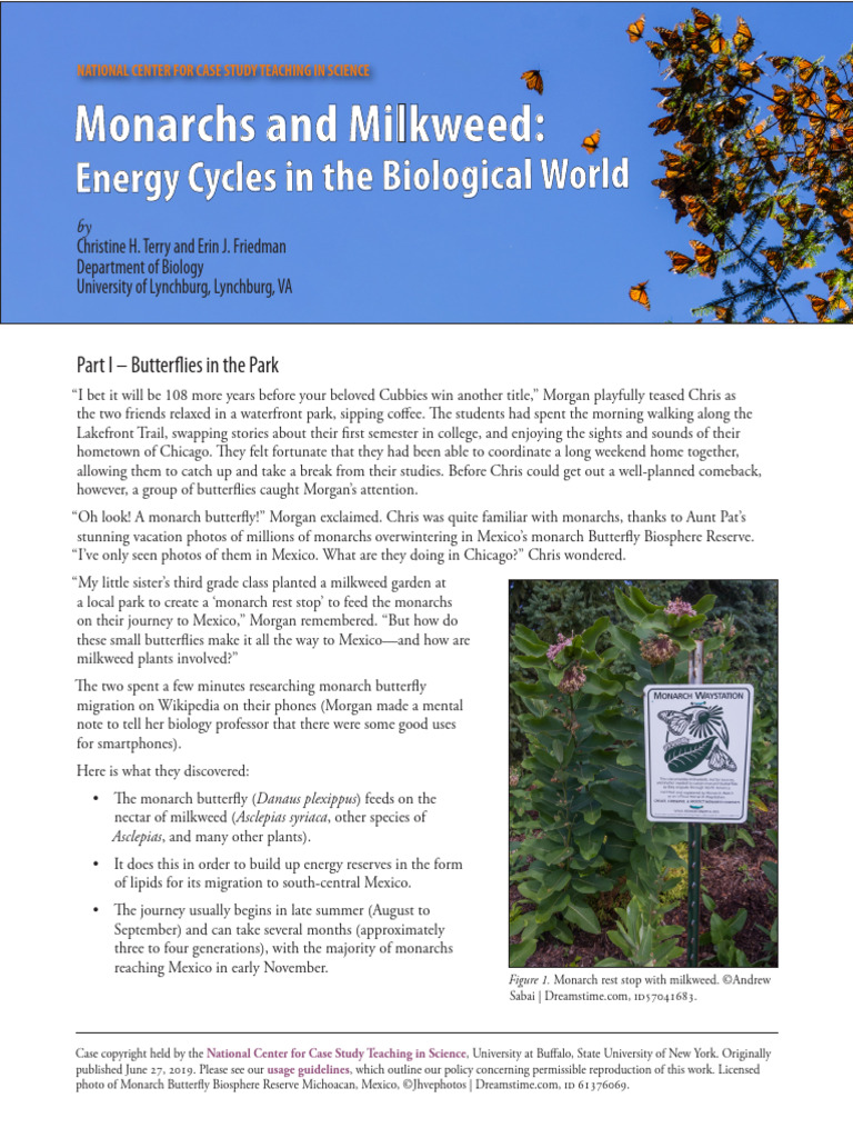 energy_cycles | PDF | Metabolic Pathway | Photosynthesis