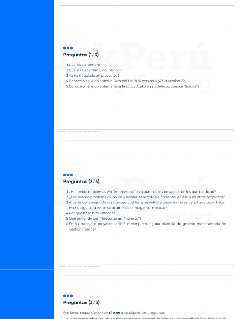 Preguntas de Entrada 2025 - Risk | PDF