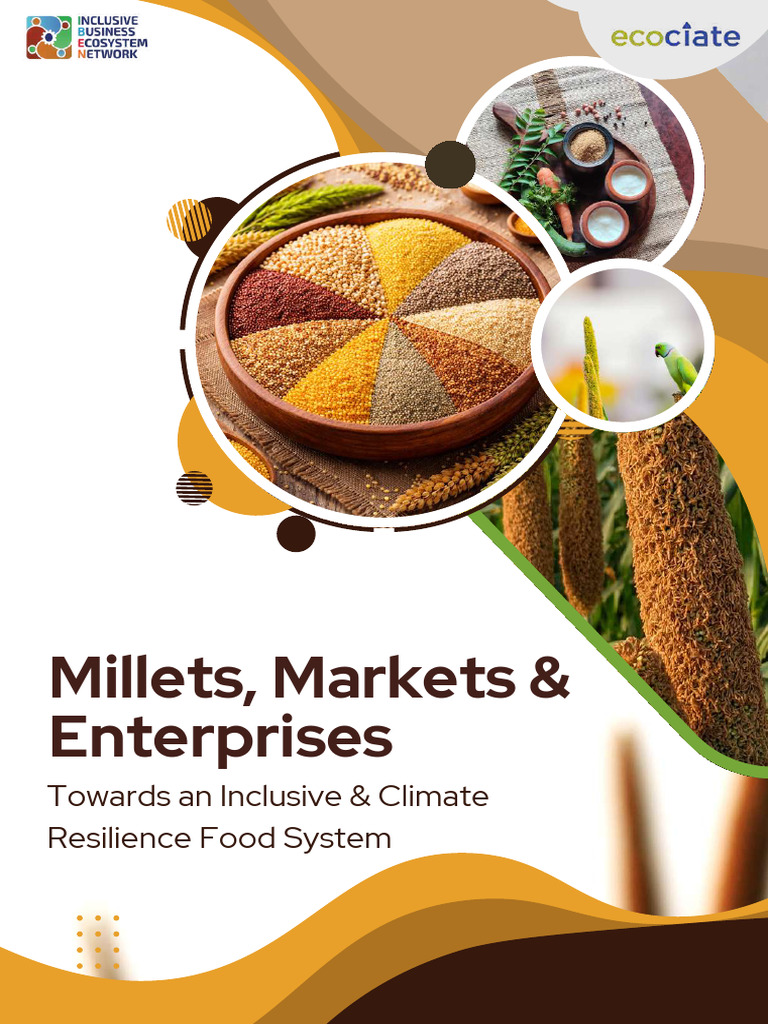Millets: Climate-Resilient Food Systems | PDF | Climate Resilience ...