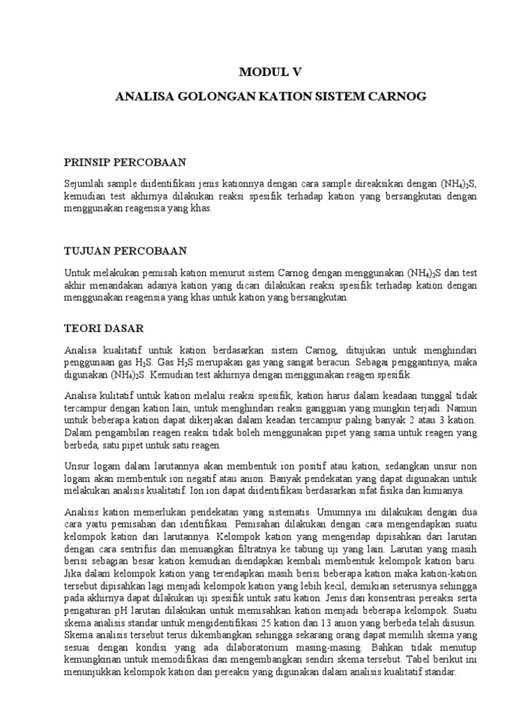 Laporan Analitik | PDF