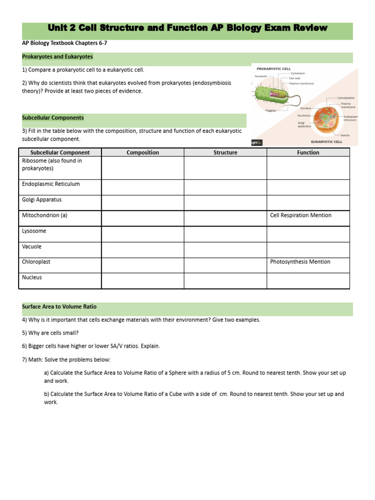 U2 Cell Structure and Function AP Bio Exam Review 2324 | PDF ...