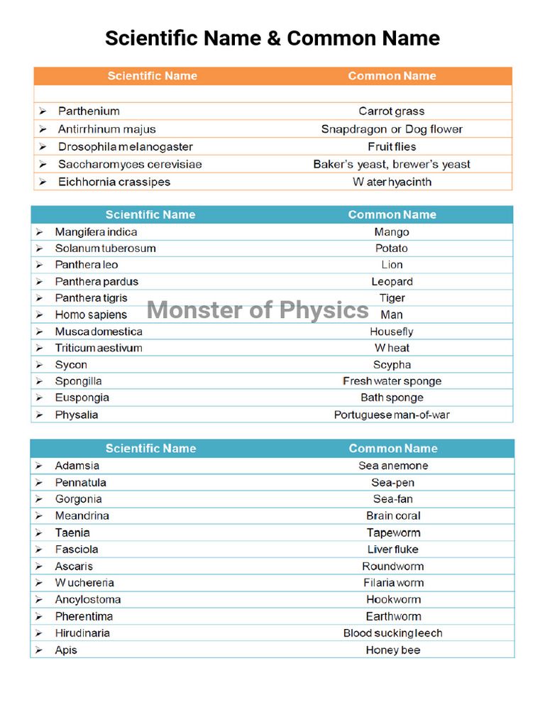 Scientific Name & Common Name (1).PDF | PDF