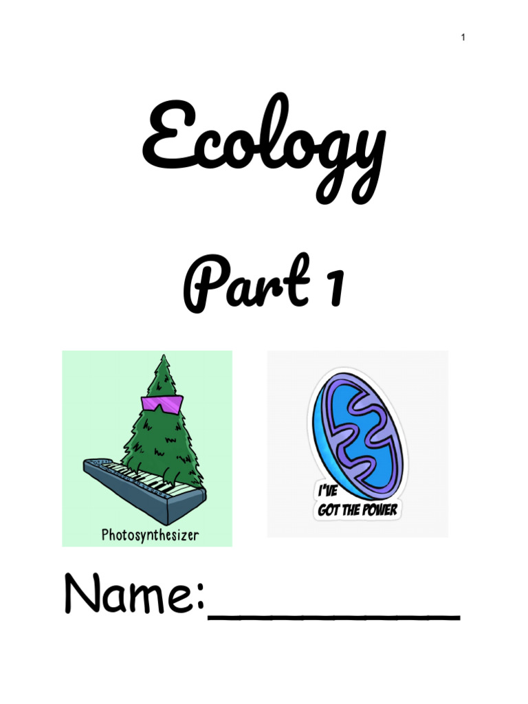 Introduction to Ecology and Energy Flow | PDF | Diet & Nutrition ...