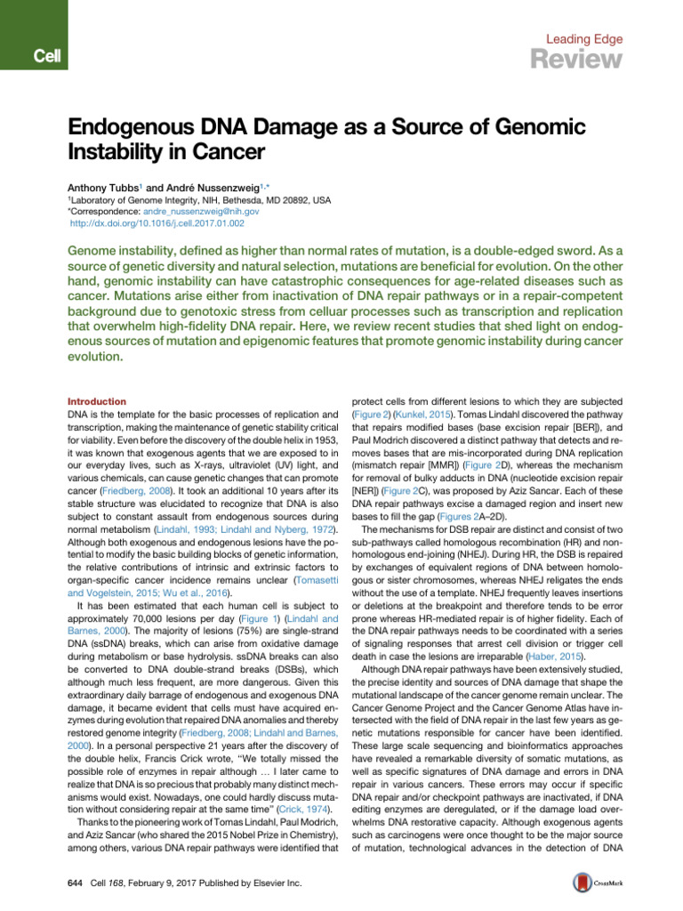 Endogenous DNA Damage as a Source of Genomic Insta | PDF | Dna Repair | Dna