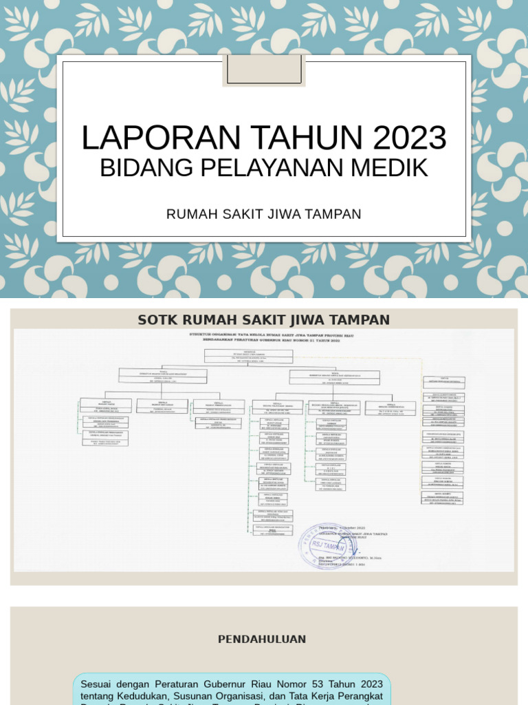 Laporan Pelayanan Medik RS Jiwa Tampan 2023 | PDF