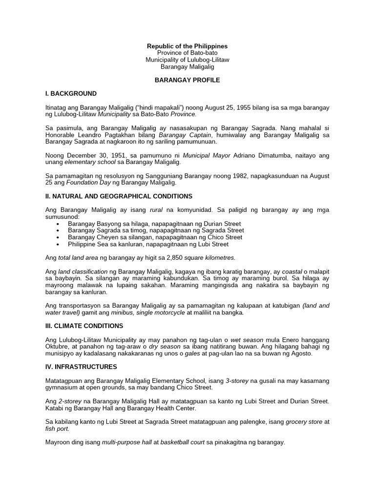 Barangay Maligalig Profile | PDF