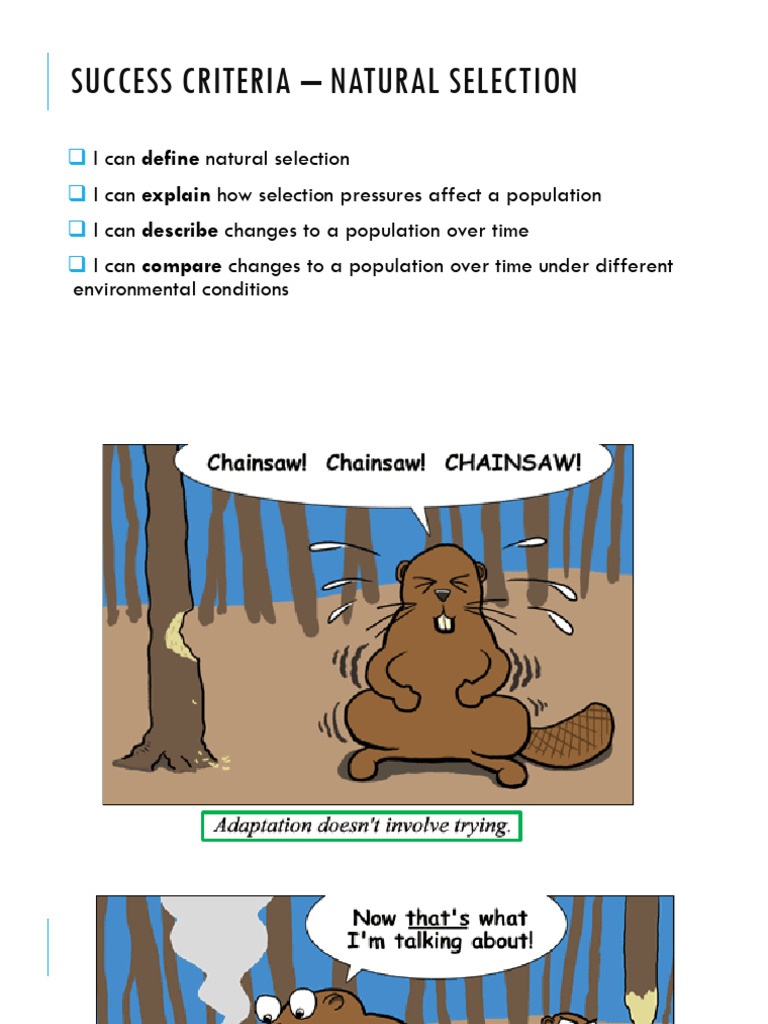 Understanding Natural Selection Process | PDF