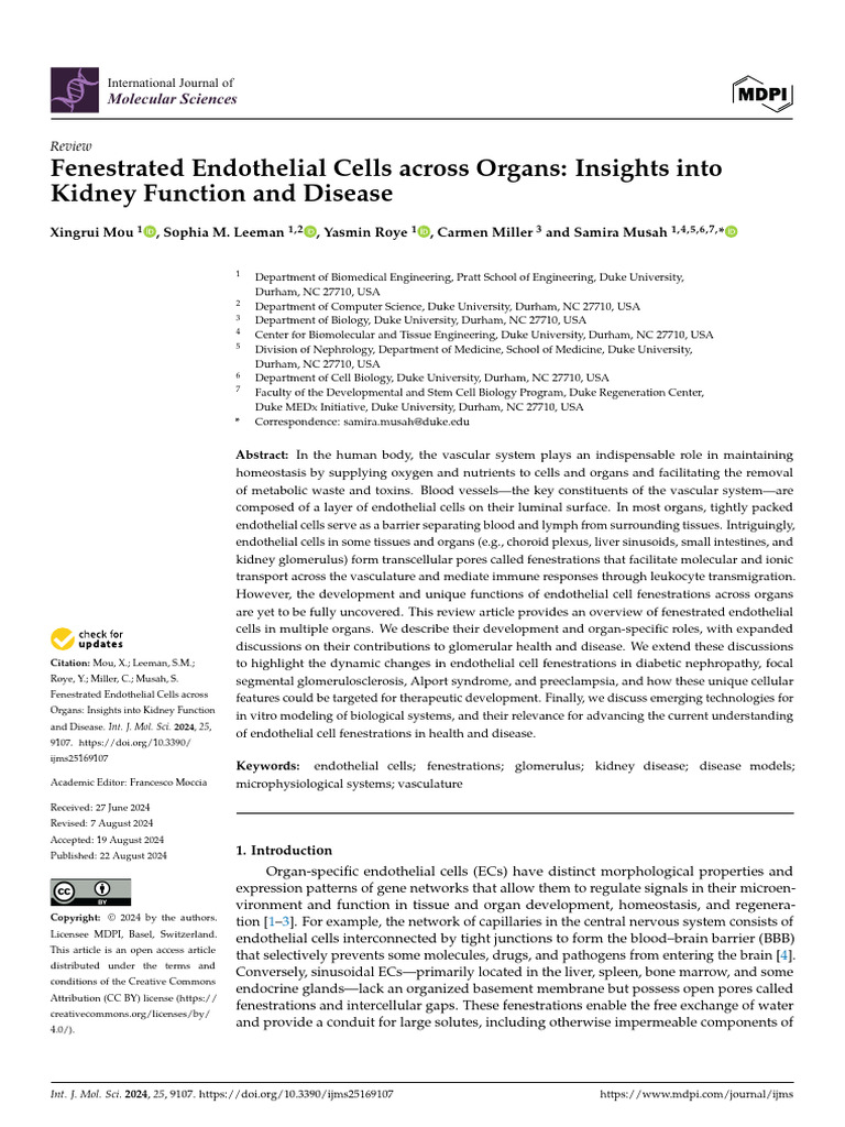 Fenestrated Endothelial Cells Across Organs | PDF | Capillary ...