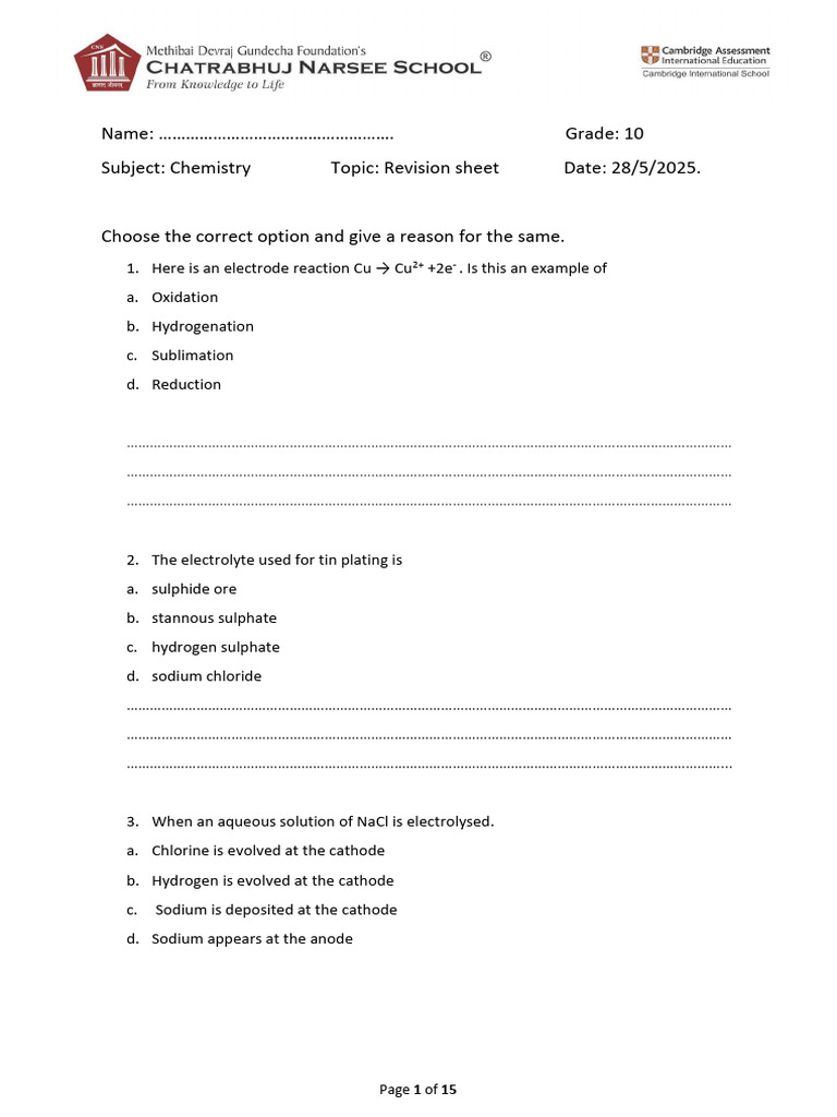 Grade 10 Homework Sheet | PDF | Anode | Ammonia