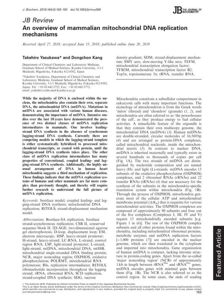 Overview of MtDNA Replication-Yasukawa-2018 | PDF | Mitochondrial Dna ...