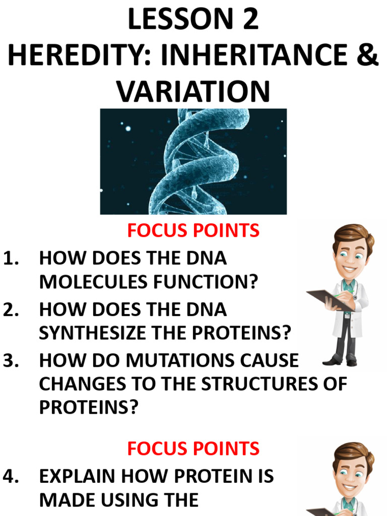 DNA Function, Protein Synthesis & Mutations | PDF | Dna | Dna Replication