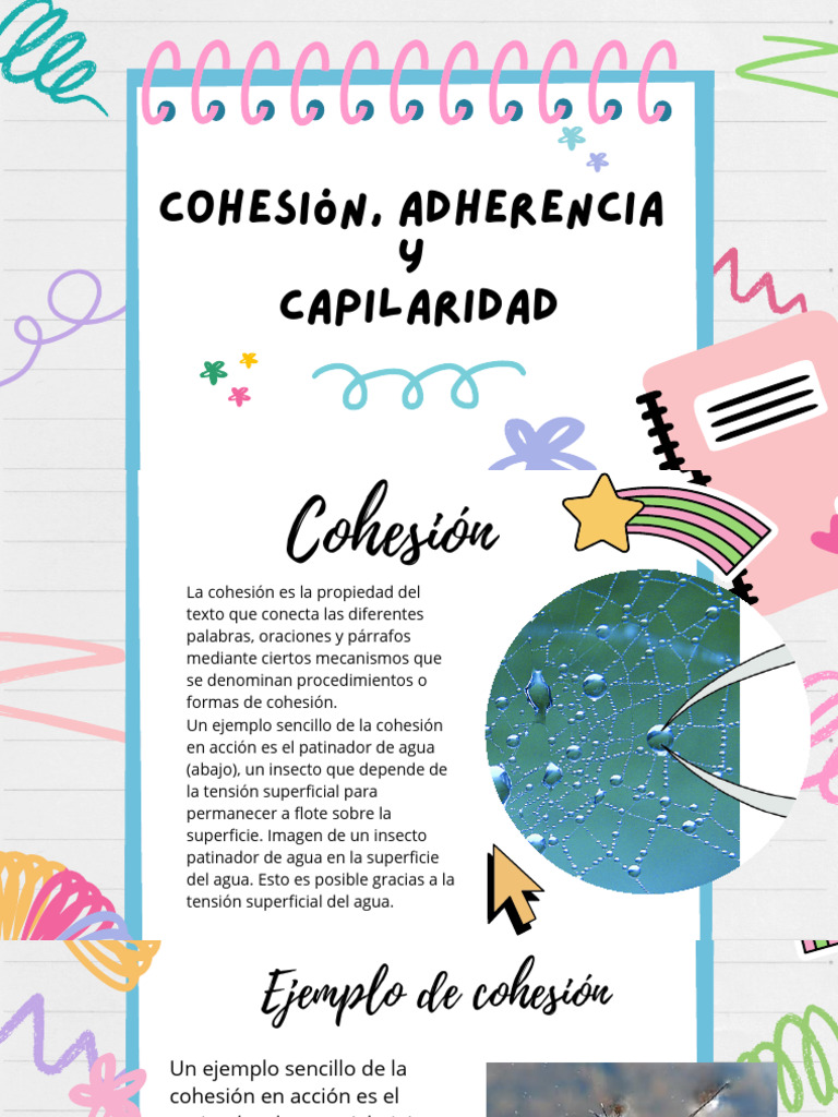 Cohesión, Adherencia y Capilaridad en Líquidos | PDF | Adhesión ...