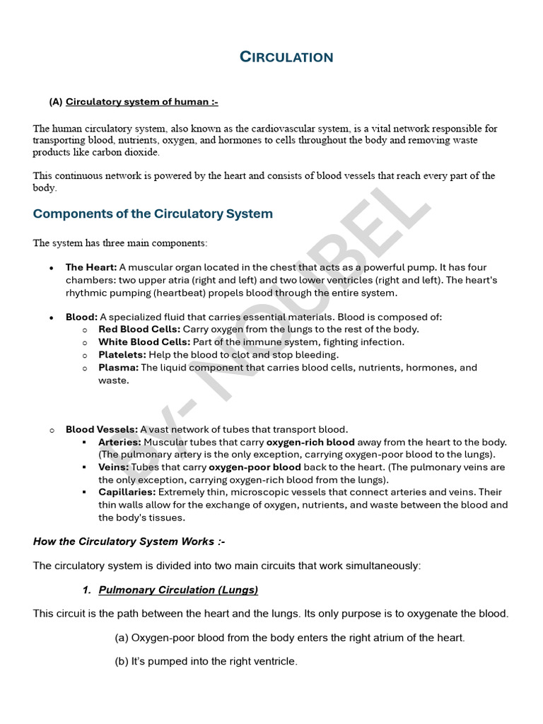 Unit-04 Circulation (IDC) | PDF | Lymph | Blood Type
