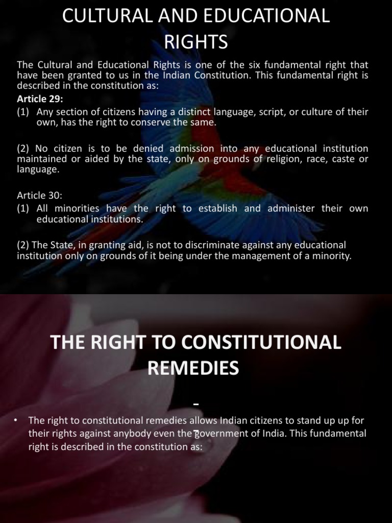 Cultural and Educational Rights | PDF | Writ | Social Institutions