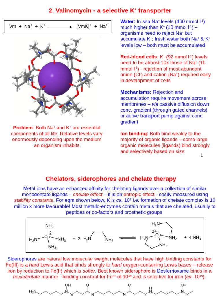 Bioinorganic - 2. Valinomycin - A Selective K+ Transporter (24-25) (1 ...