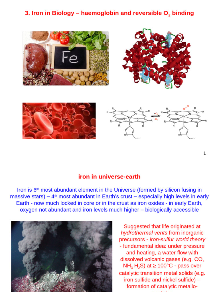 Bioinorganic - 3. Iron and Haemoglobin (24-25) (1) | PDF | Iron ...